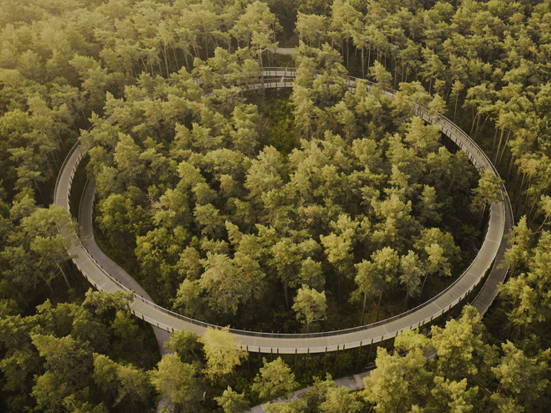 Fietsen door de bomen - Bosland (36 km) in Hechtel-Eksel